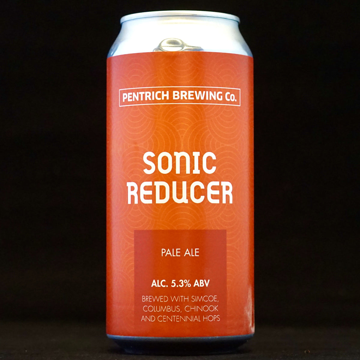 Pentrich - Sonic Reducer - 5.3% (440ml) – Ghost Whale
